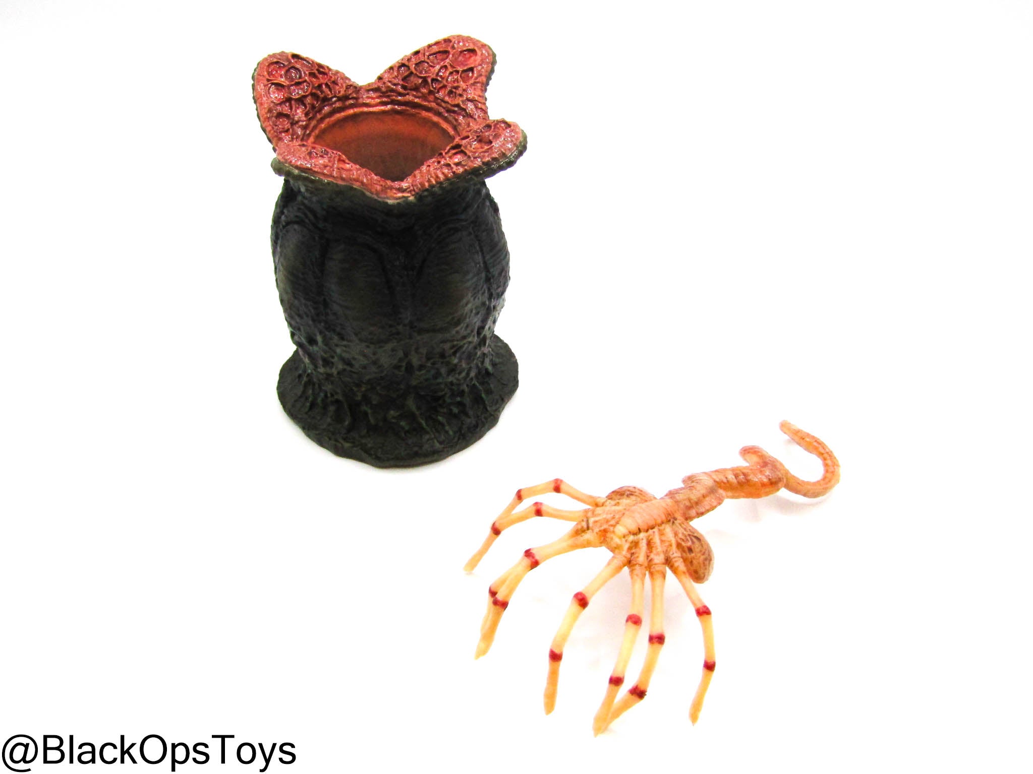 Female Flight Officer - Facehugger w/Open Egg – BlackOpsToys