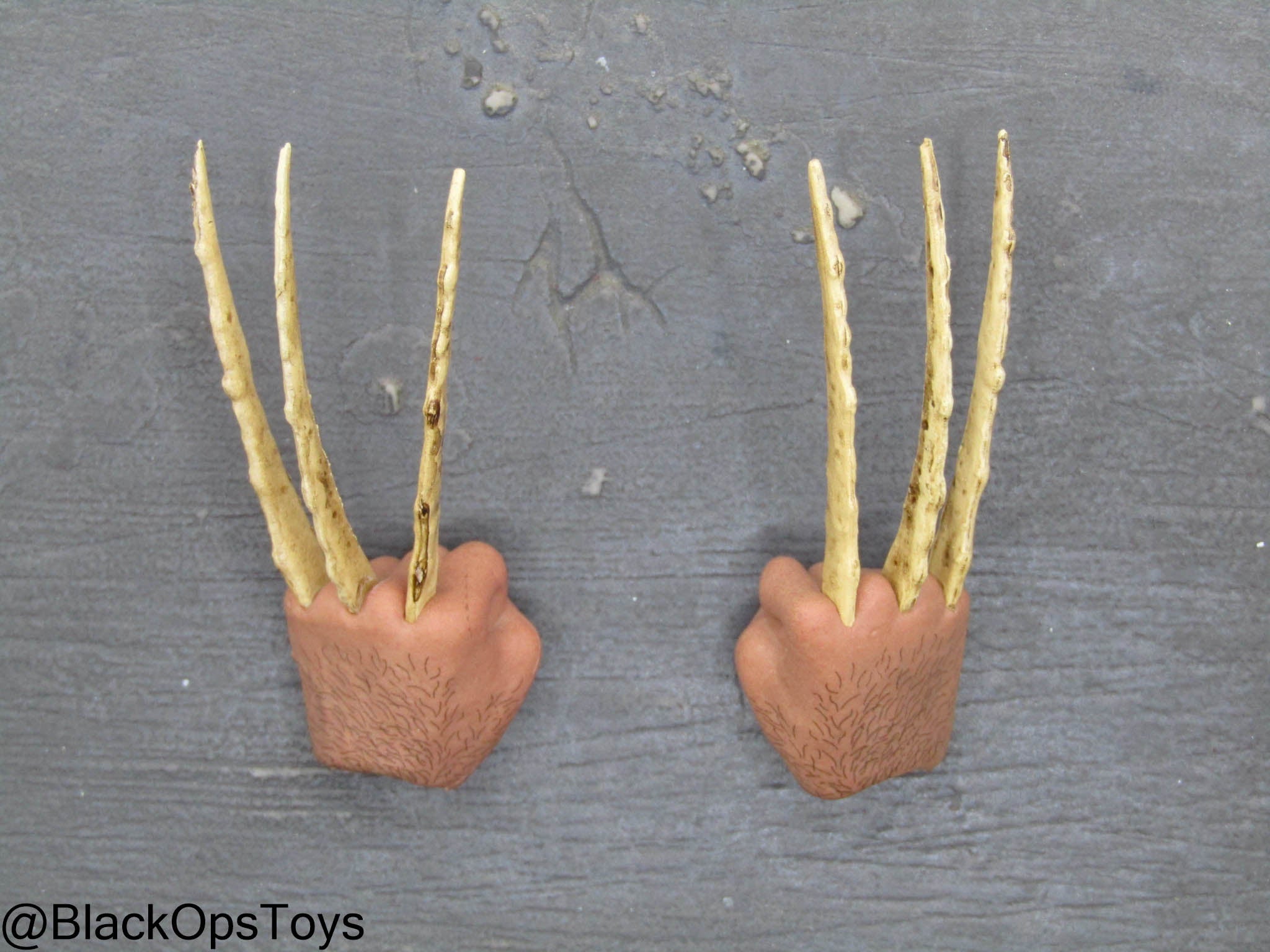 Woifman Mutants - Male Hand Set w/Bone Claws – BlackOpsToys