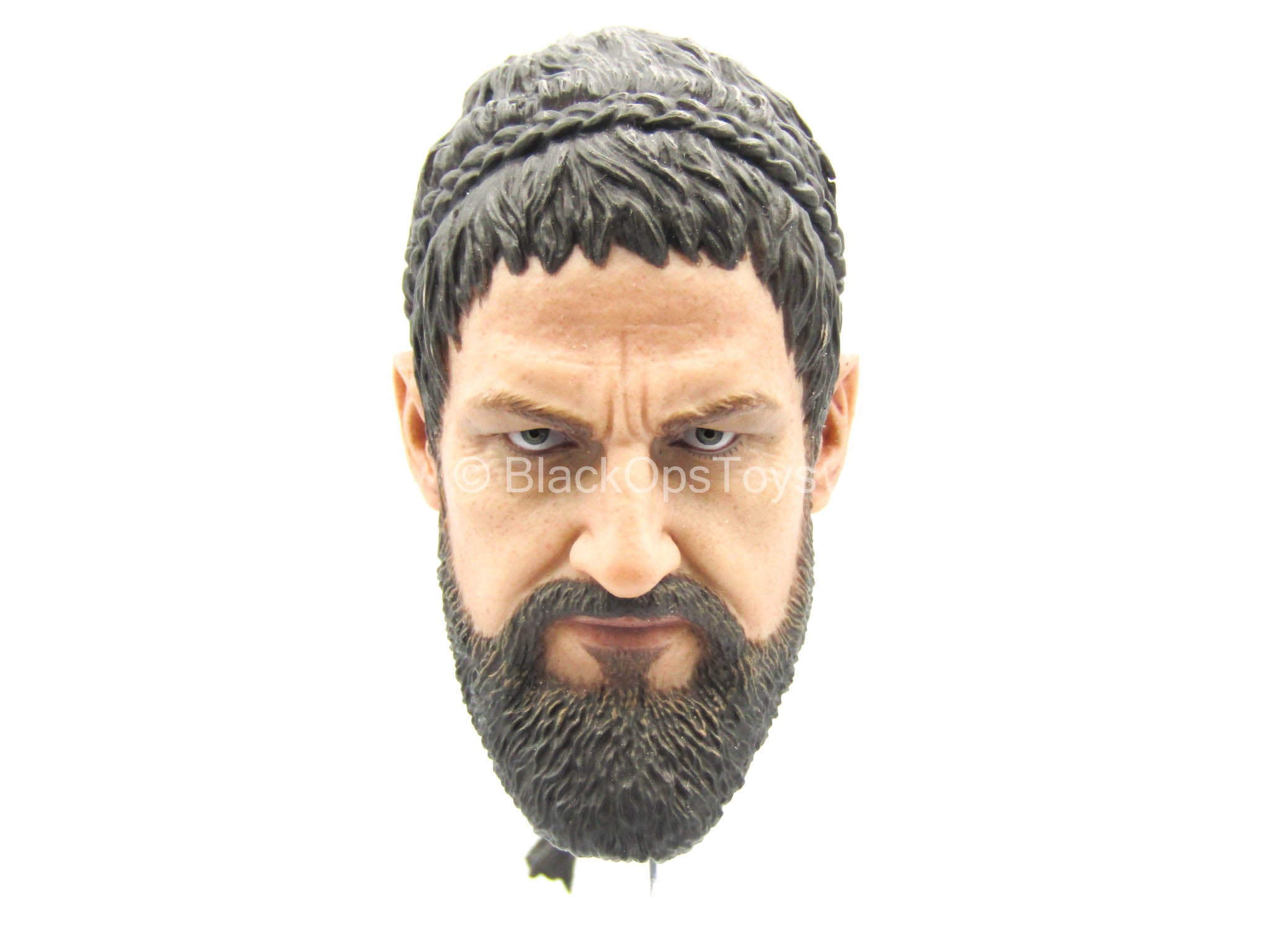 Leonidas Head Cut Off