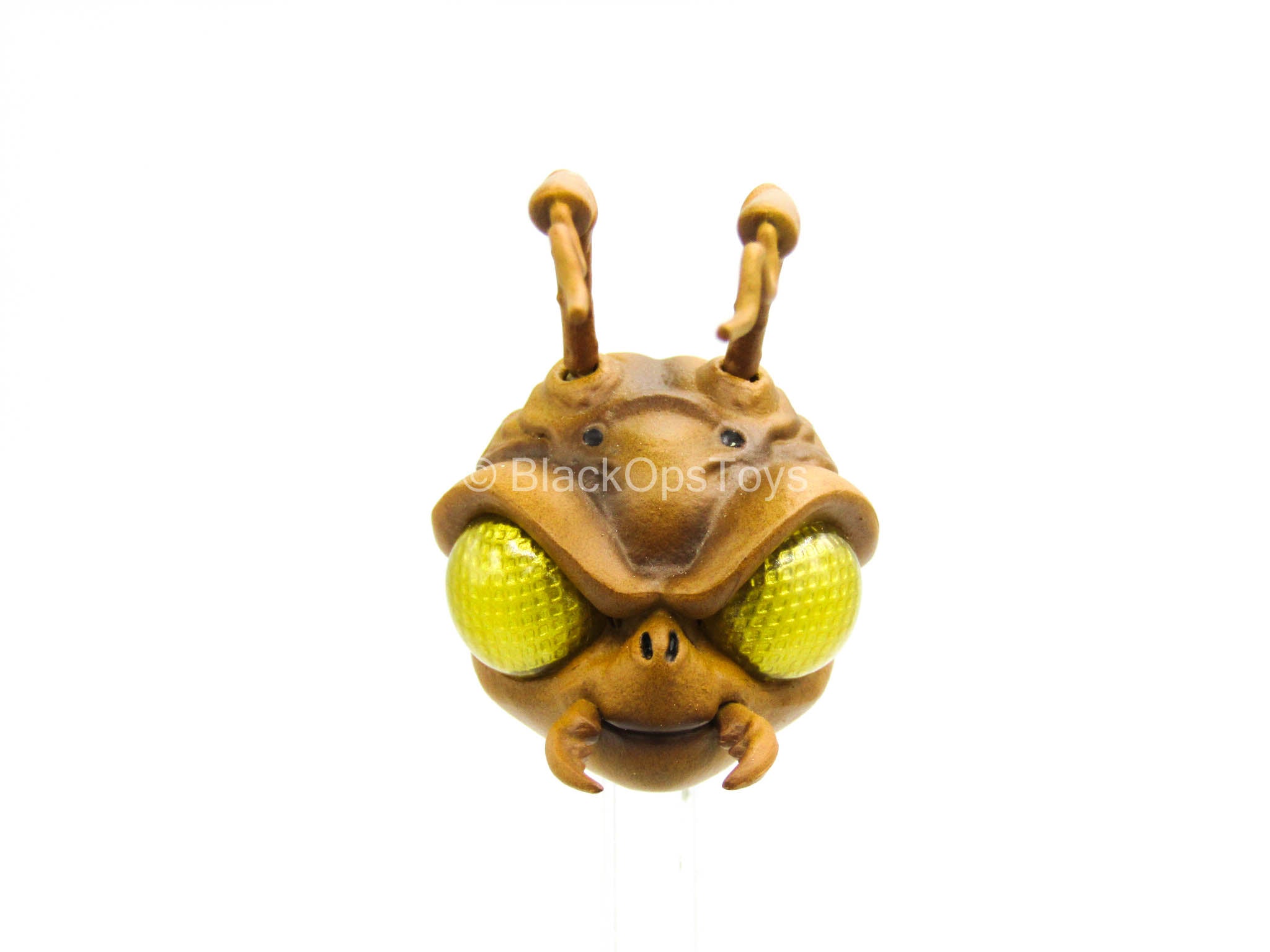 1/12 - Secret Agent Gomez - Bug Head Sculpt – BlackOpsToys